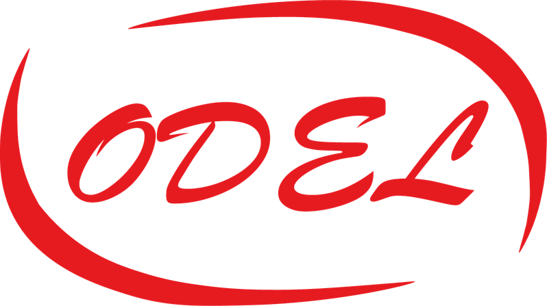 TRANSPORTES ODEL pagina